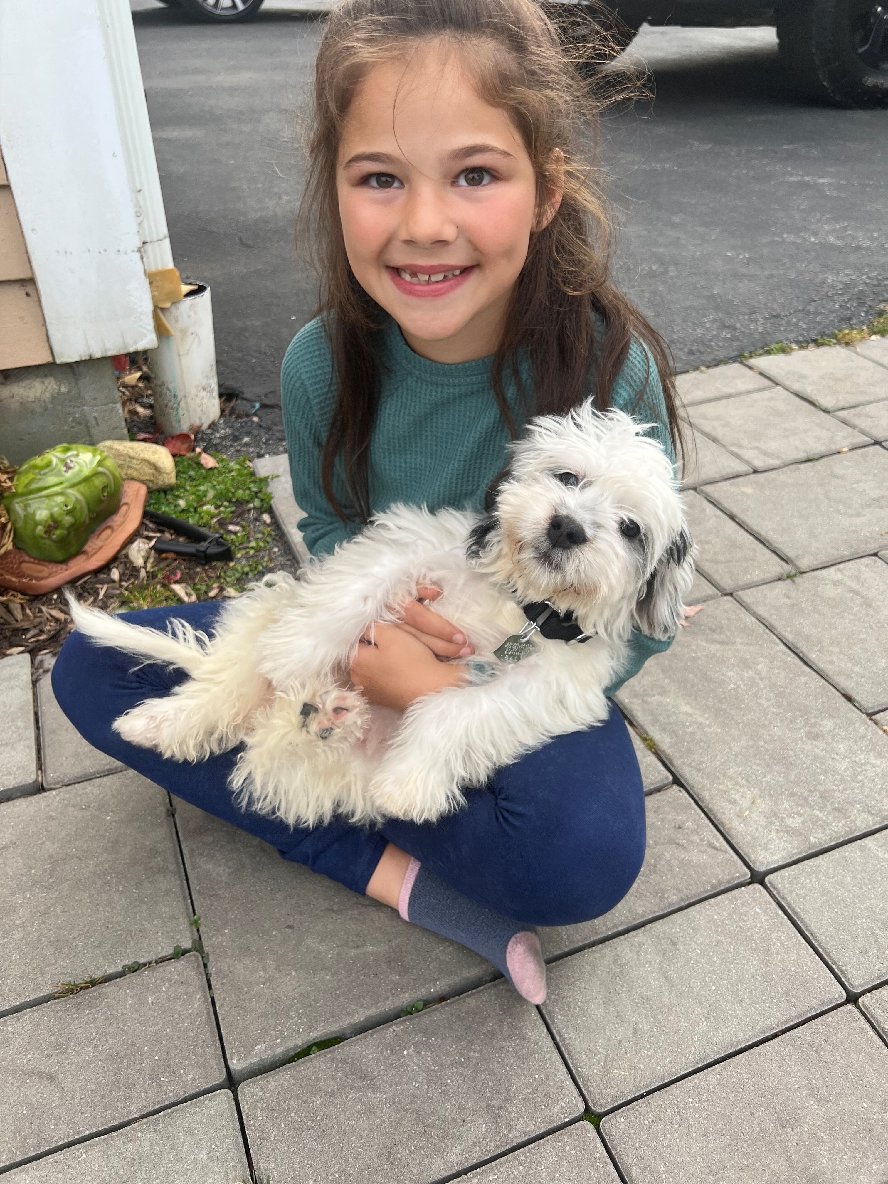 Soybean – Animal Haven